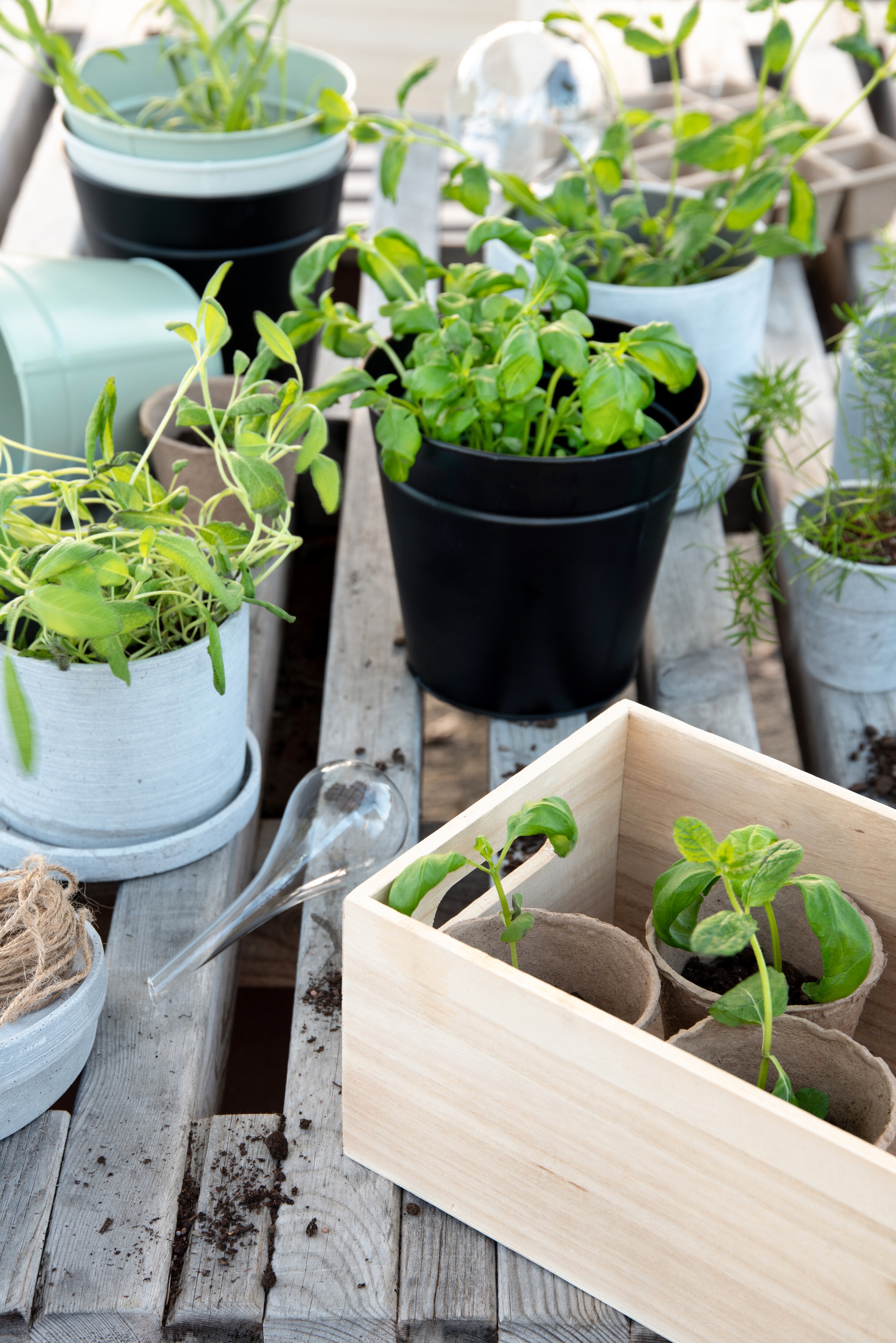 Inredning - Heminredning online | Lagerhaus - Lagerhaus