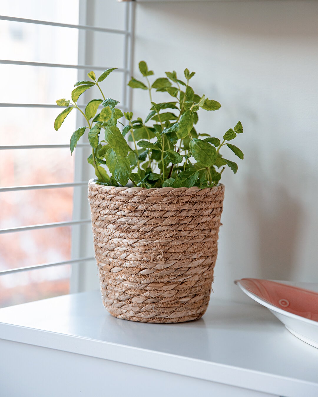 Inredning - Heminredning online | Lagerhaus - Lagerhaus